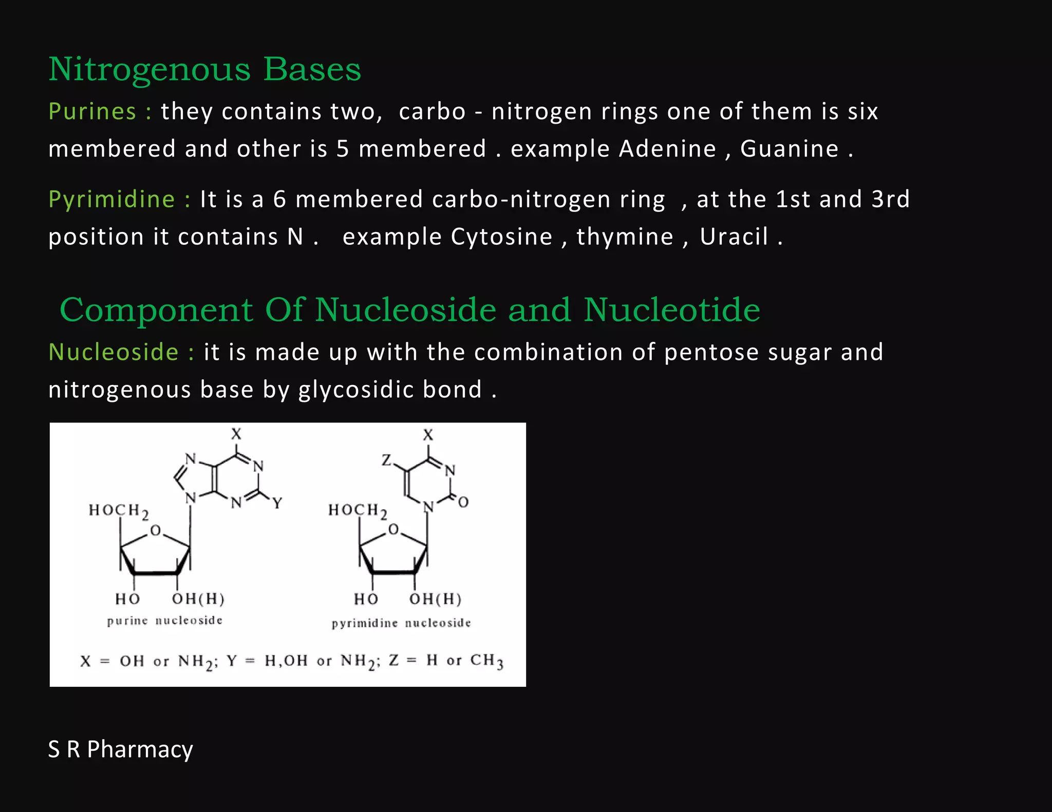 nucleic acids chap.5 biochemistry.pdf