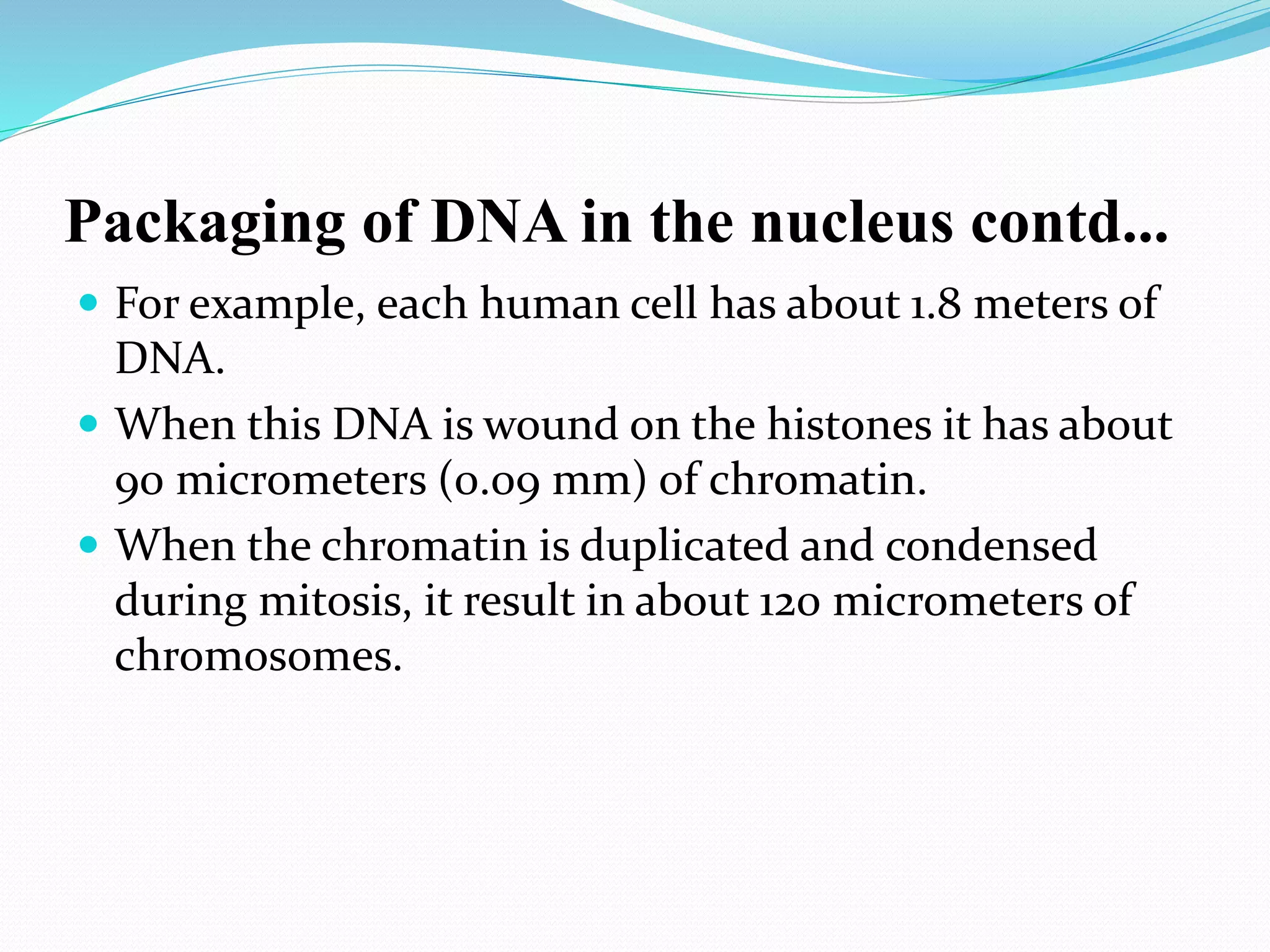 NUCLEIC ACIDS CHEMISTRY-1.pptx