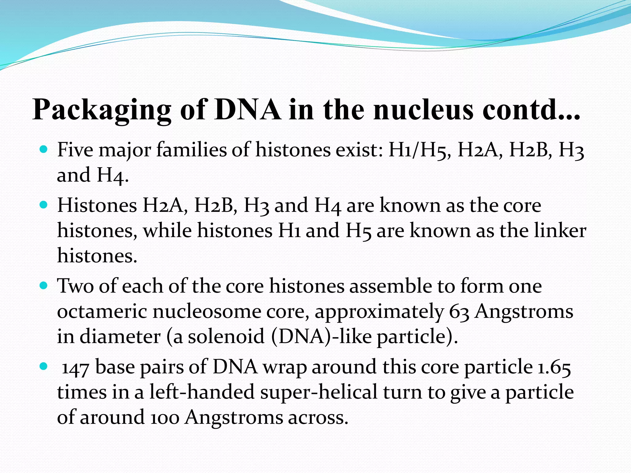 NUCLEIC ACIDS CHEMISTRY-1.pptx