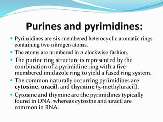 NUCLEIC ACIDS CHEMISTRY-1.pptx | Biological Sciences | Science