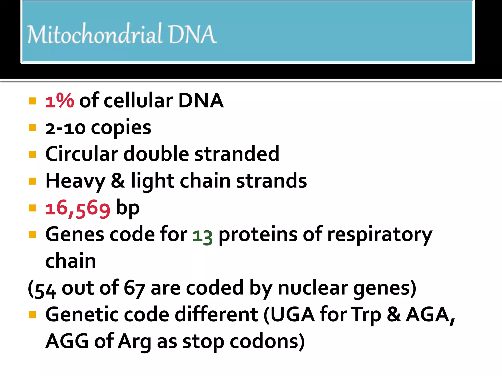 Nucleic acids & DNA organization | PPTX | Chemistry | Science