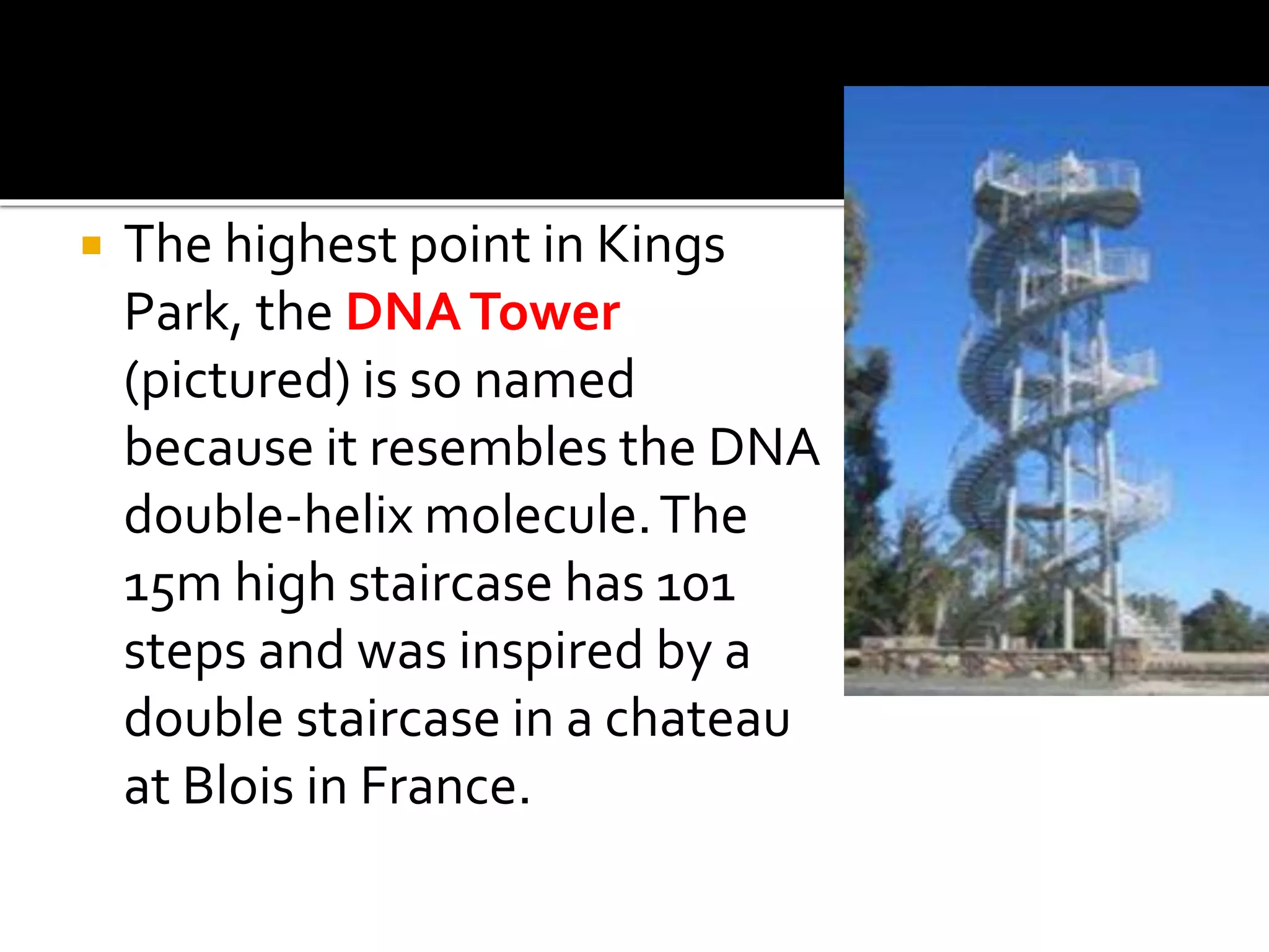 Nucleic acids & DNA organization | PPTX | Chemistry | Science