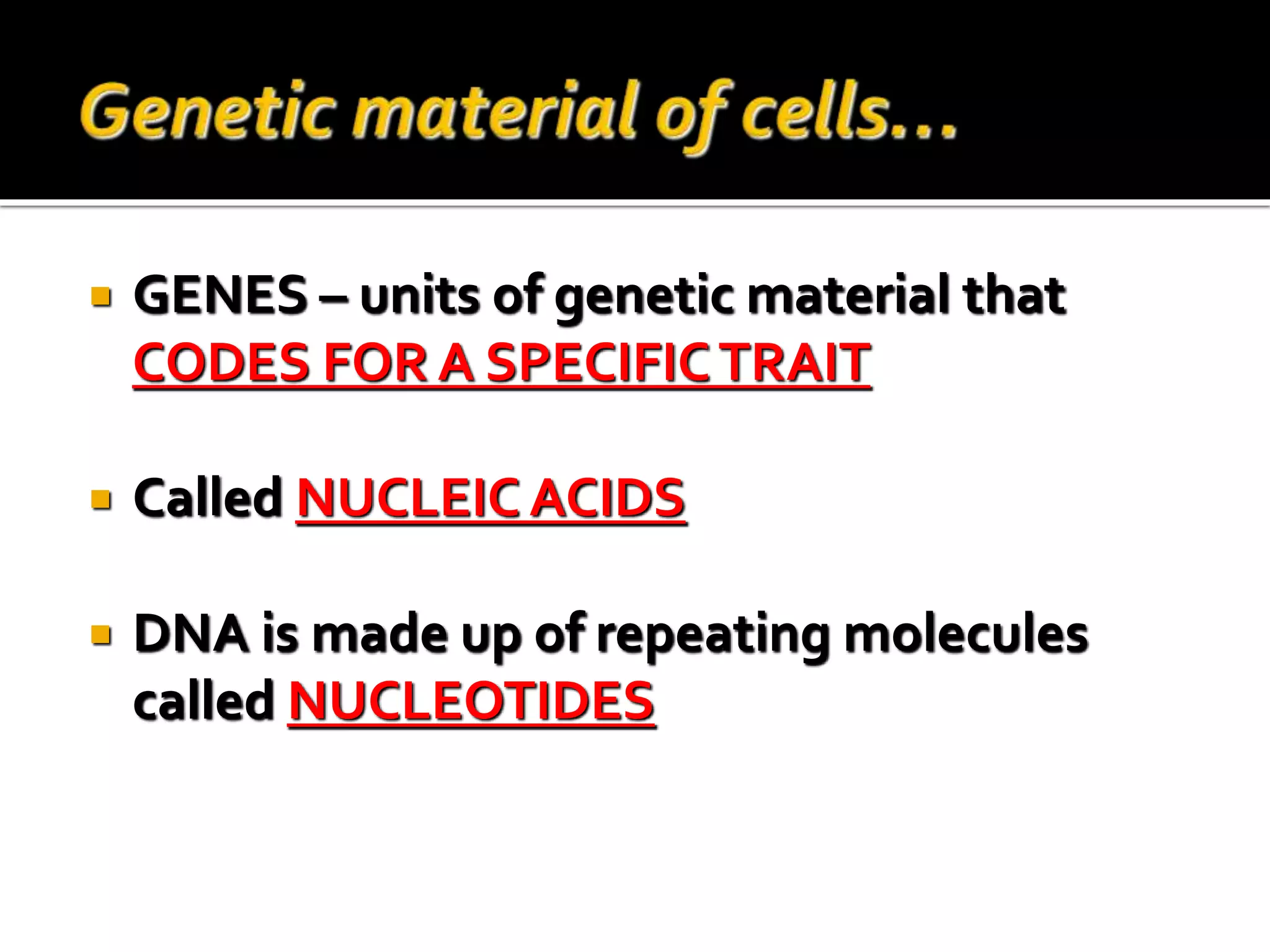 Nucleic acids & DNA organization | PPTX | Chemistry | Science