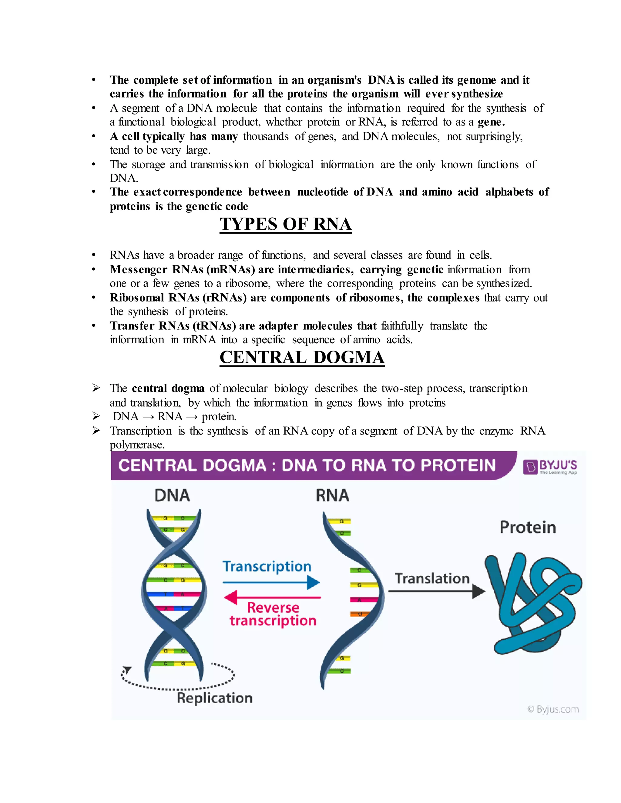 Nucleic acids (dna & rna) | DOCX
