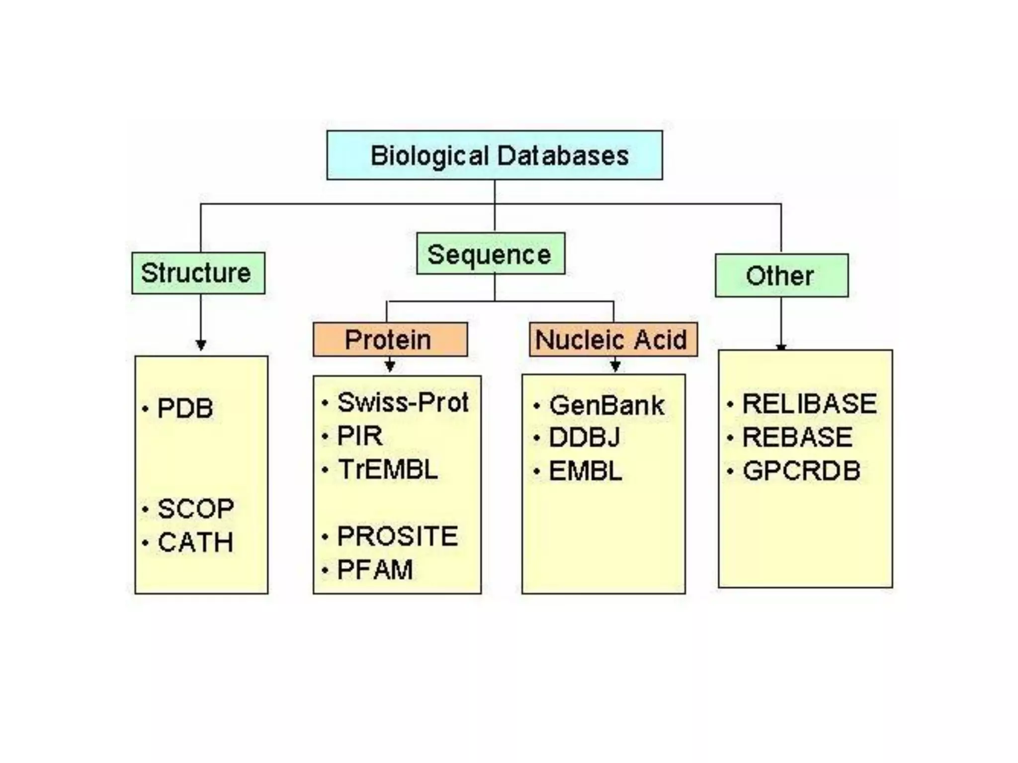 Nucleic Acid Sequence databases | PDF