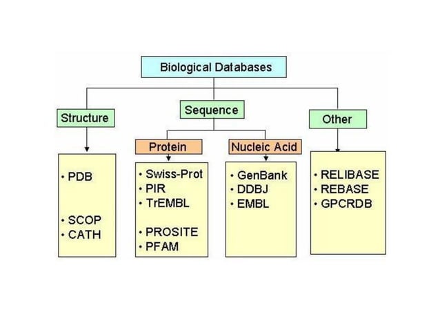 Nucleic Acid Sequence databases | PDF