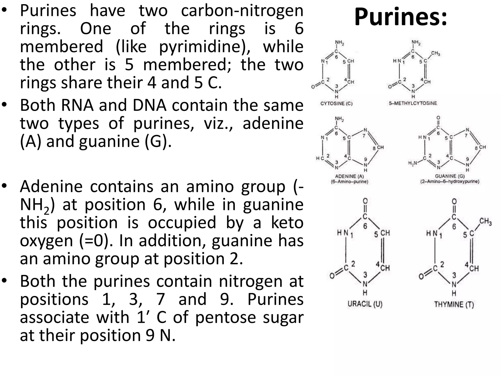 Nucleic acids meaning and structure macromolecules | PPTX