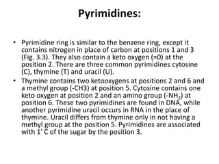 Nucleic acids meaning and structure macromolecules | PPTX