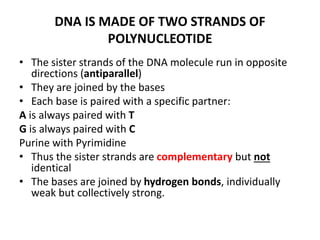 Nucleic acids meaning and structure macromolecules | PPTX