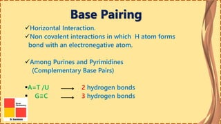 Nucleic acids & Nucleotides | PPTX | Chemistry | Science