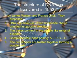 Nucleic Acids | POT | Chemistry | Science