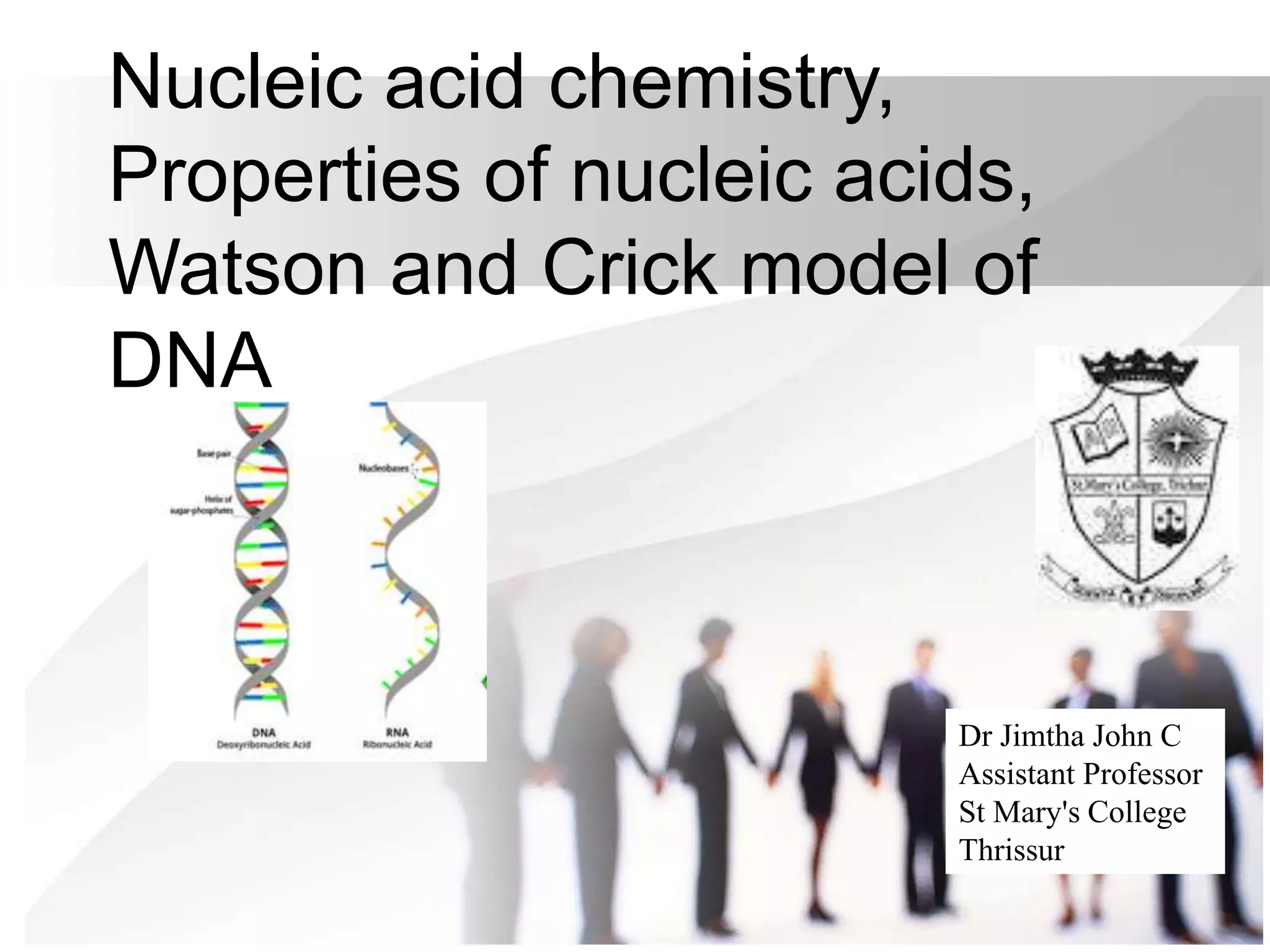 Nucleic acids ppt | PPTX | Chemistry | Science