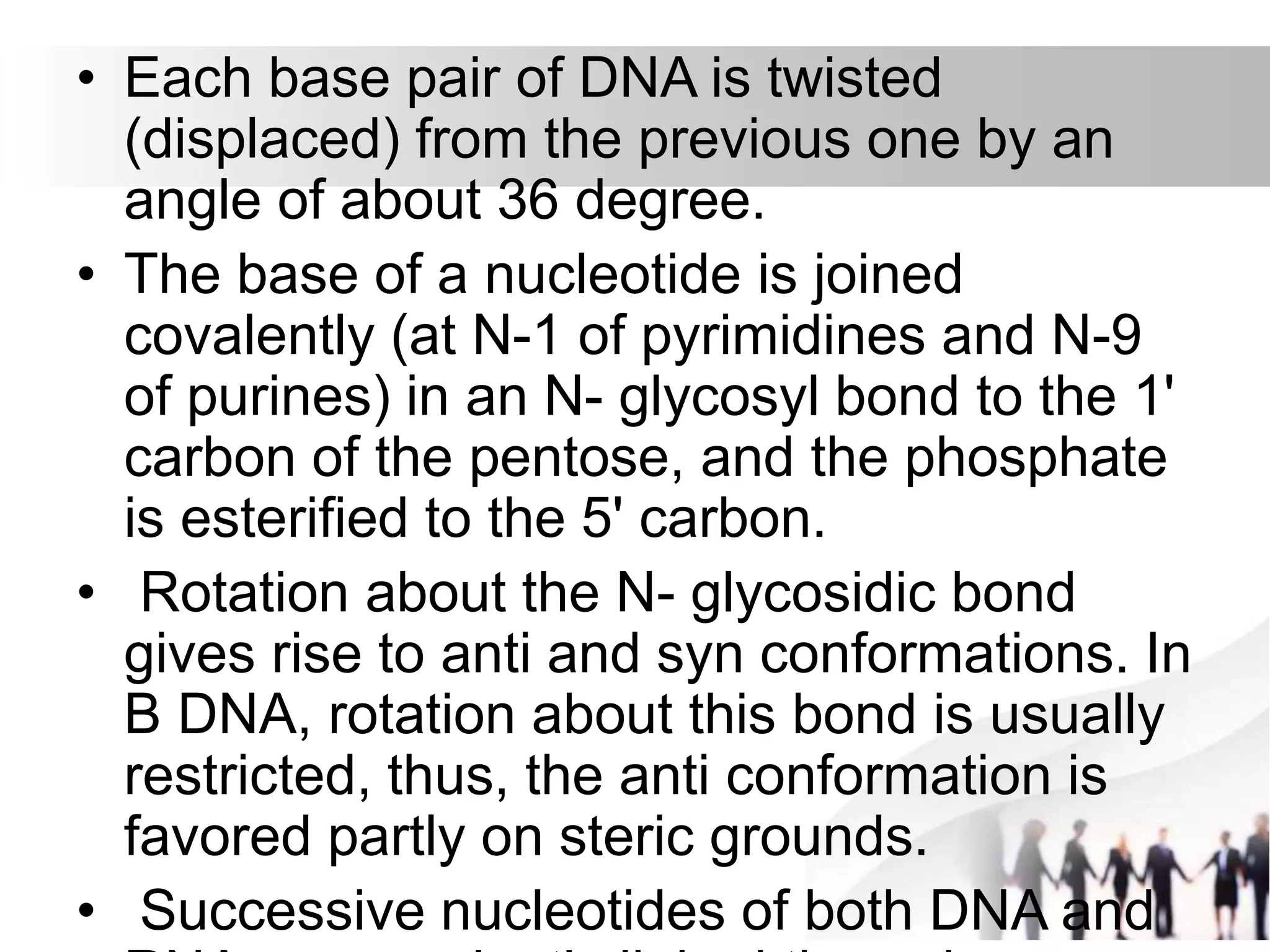 Nucleic acids ppt | PPTX