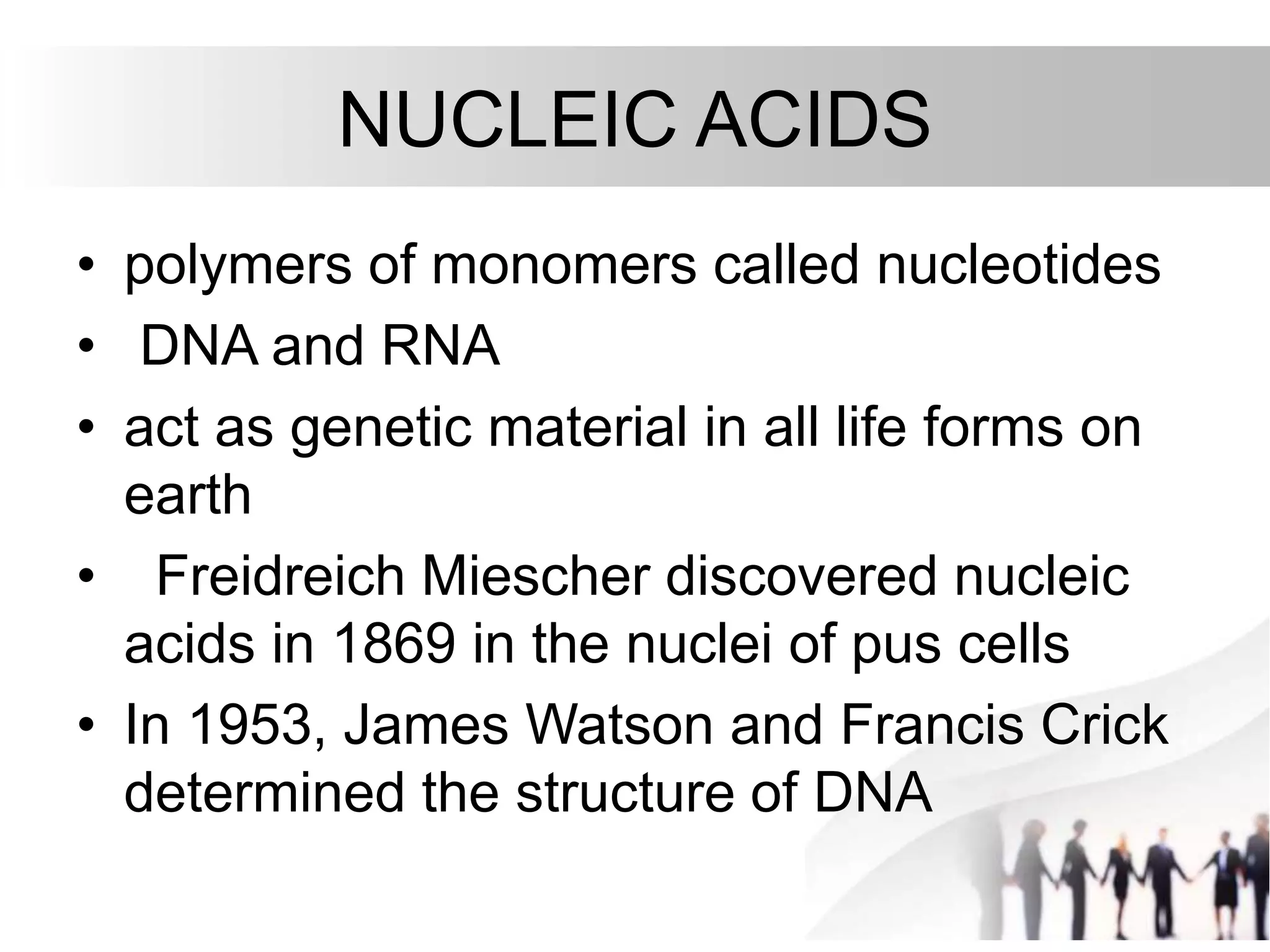 Nucleic acids ppt | PPTX