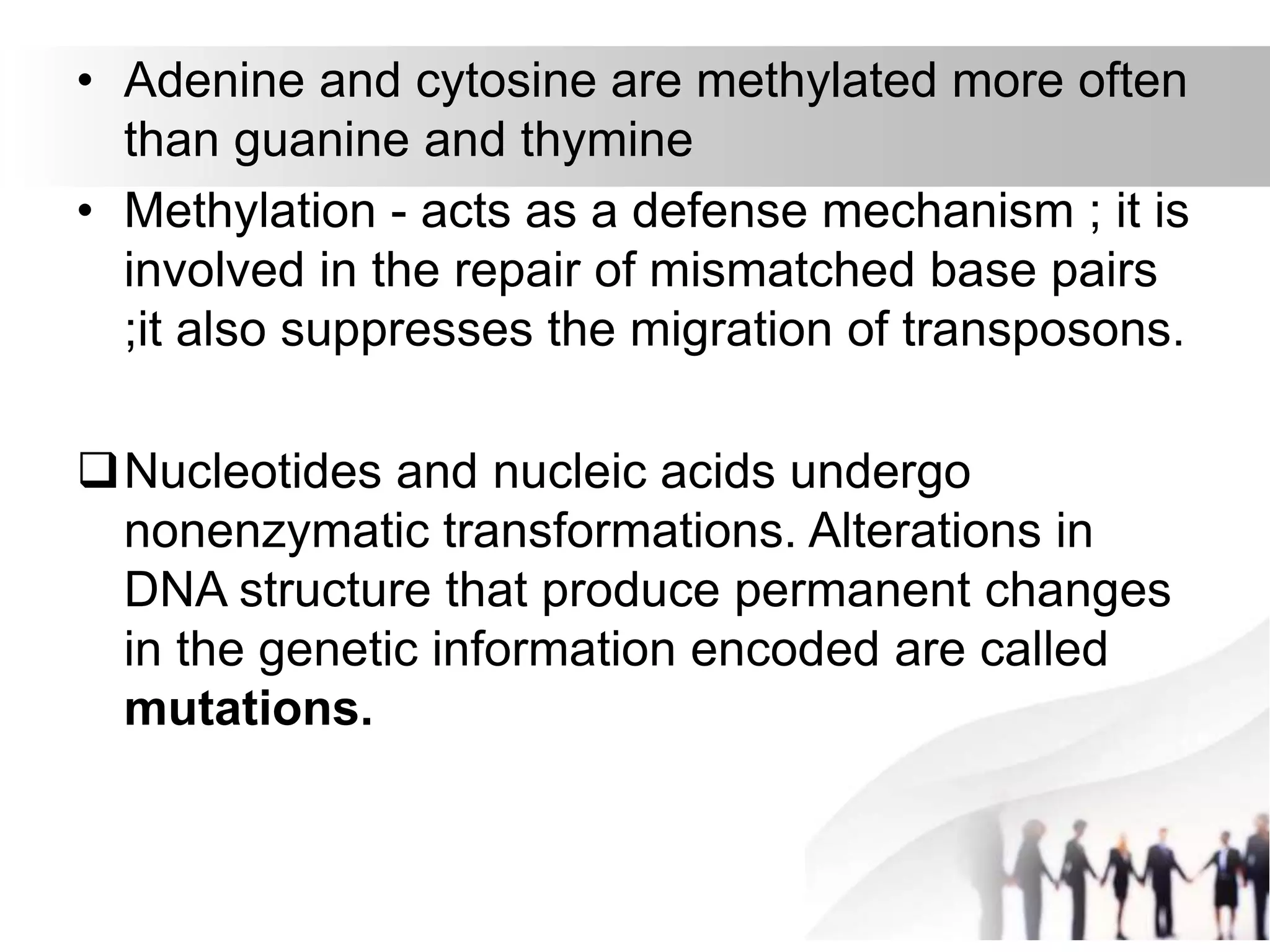 Nucleic acids ppt | PPTX