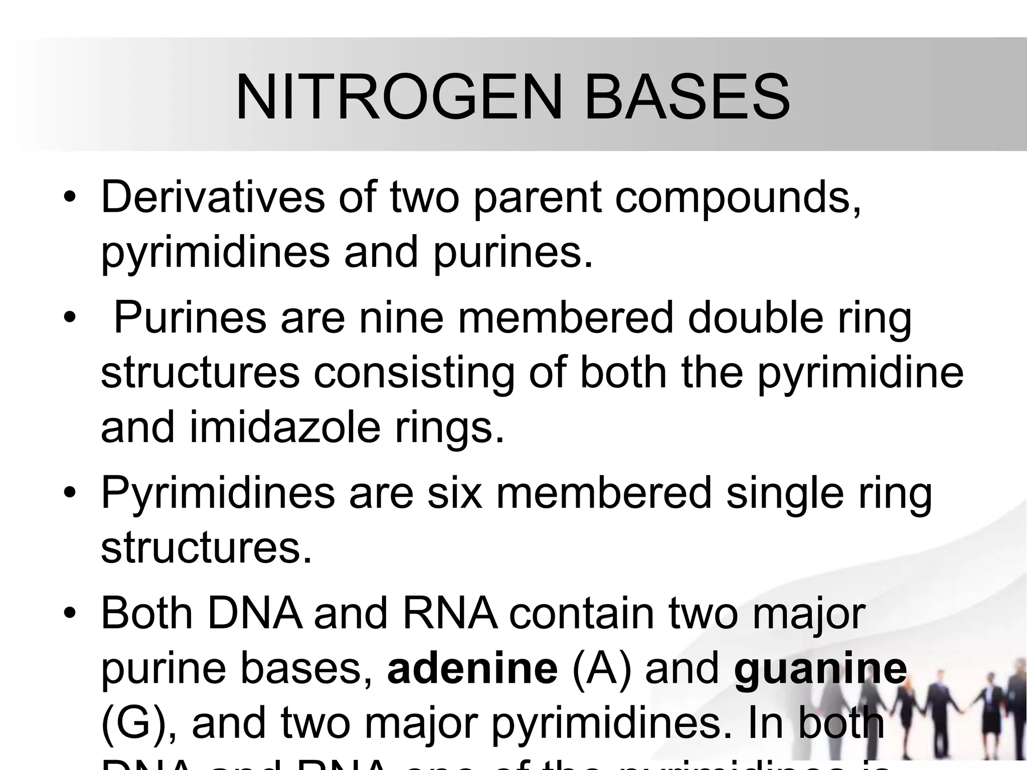 Nucleic acids ppt | PPTX