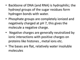 Nucleic acids ppt | PPTX | Chemistry | Science