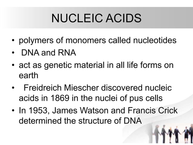 Nucleic acids ppt | PPT