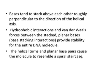 Nucleic acids ppt | PPTX | Chemistry | Science