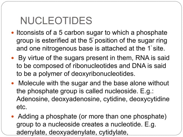 Nucleic acids ppt | PPT