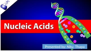Nucleic acids presentation by Nitu Thapa.pptx