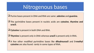 Nucleic acids presentation by Nitu Thapa.pptx