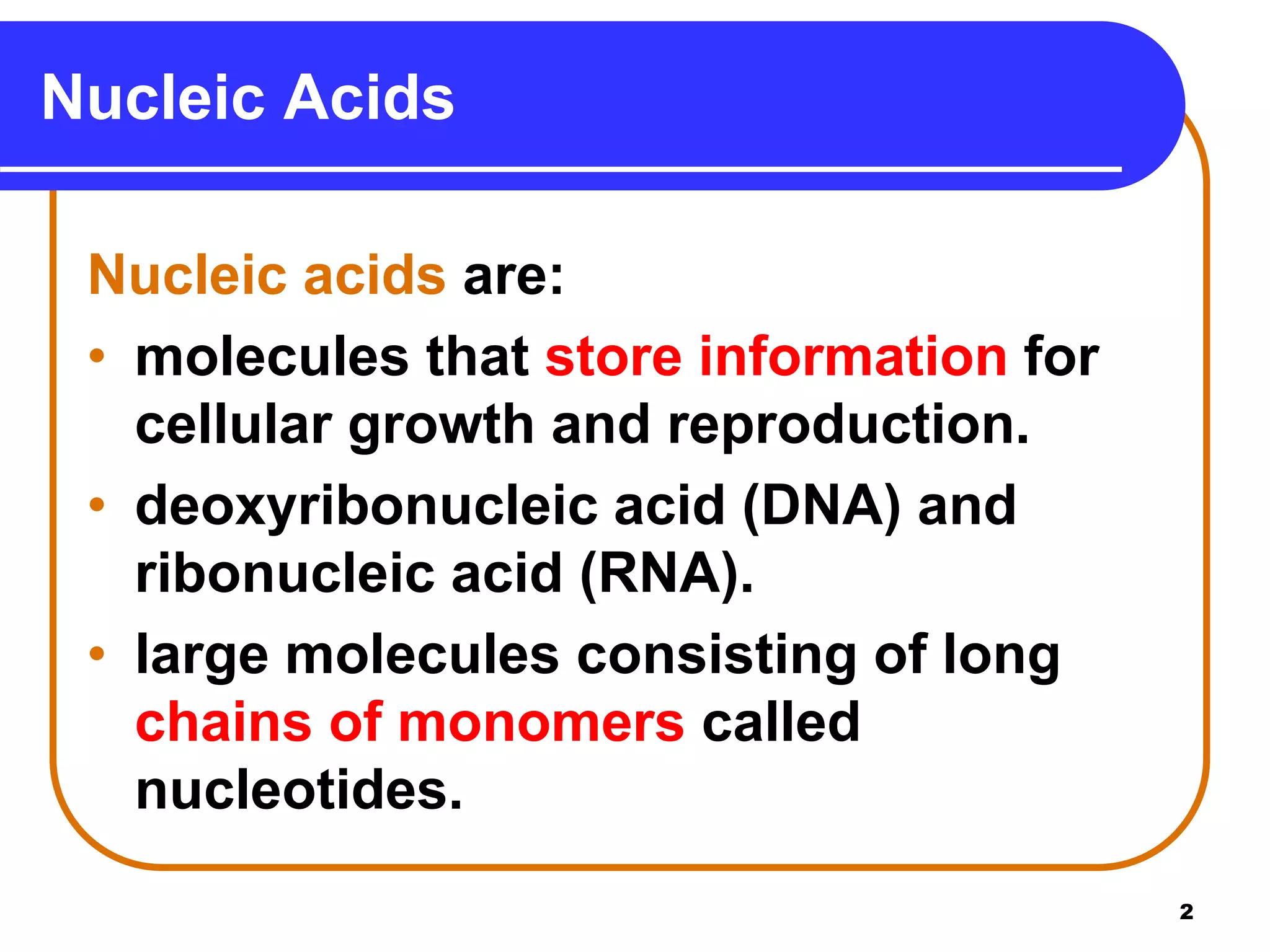 NUCLEIC ACIDSsss.ppt