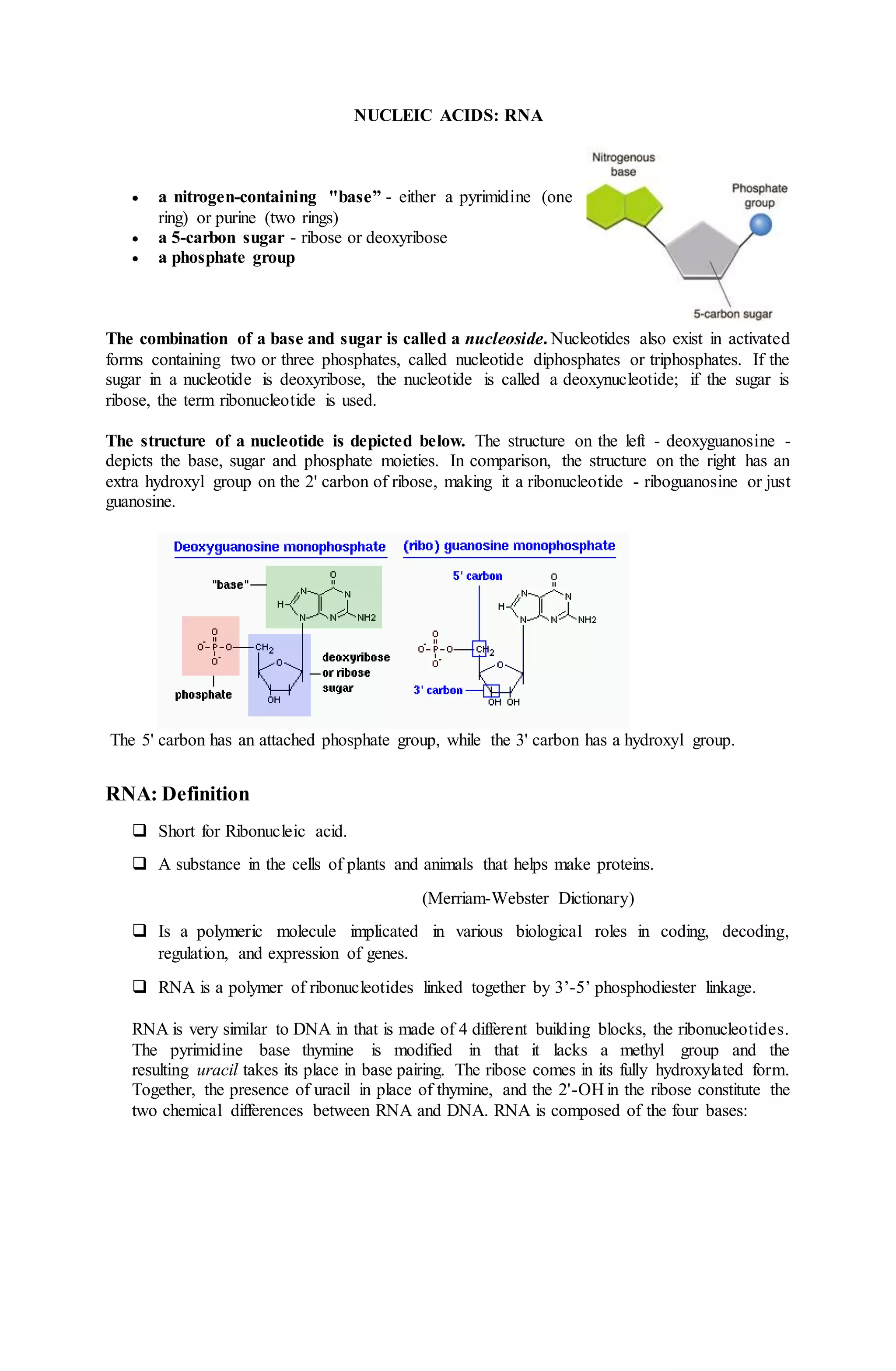 NUCLEIC ACIDS: THE RNA DOCUMENT | DOCX
