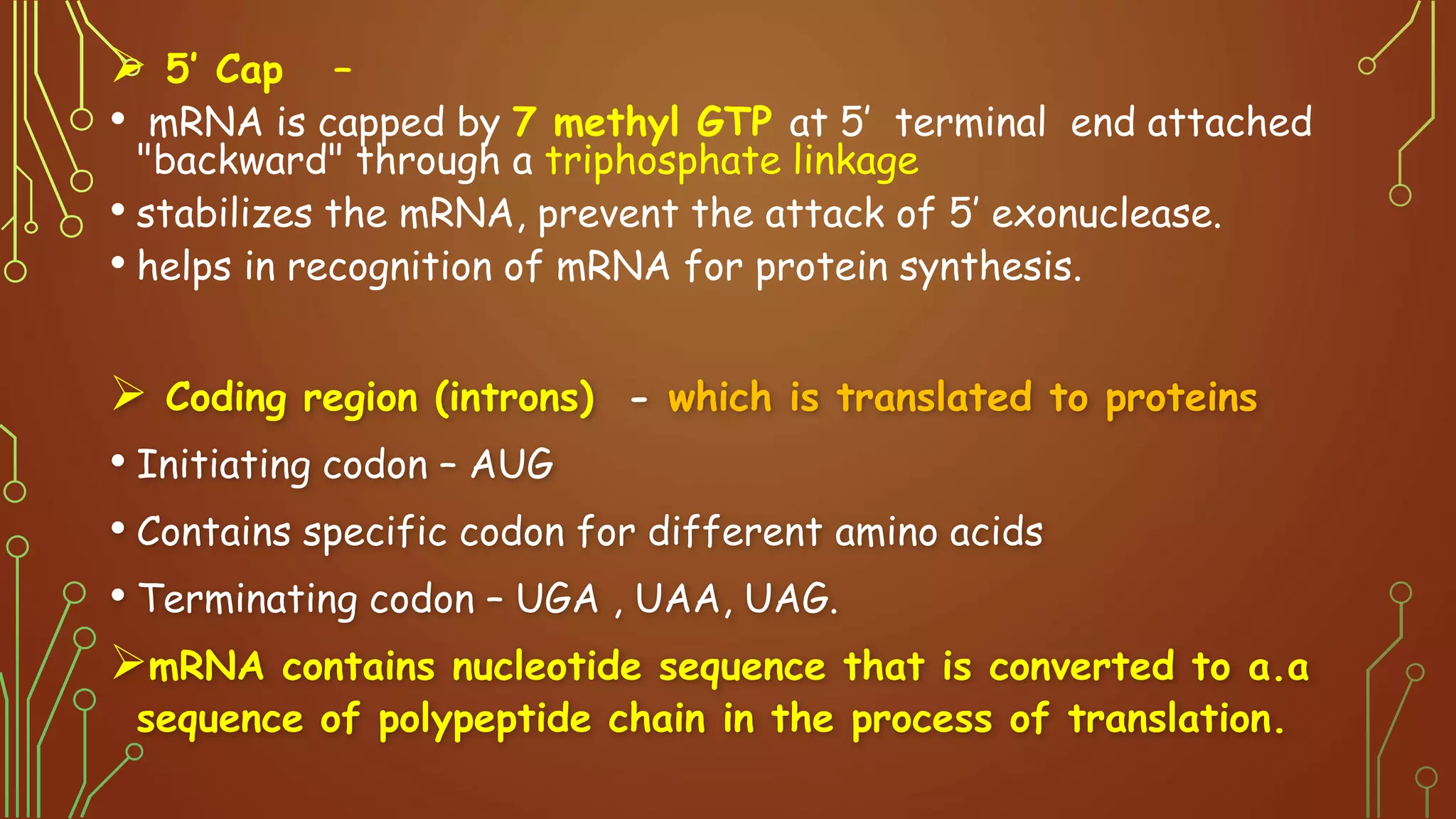 Nucleic acid structure | PPSX