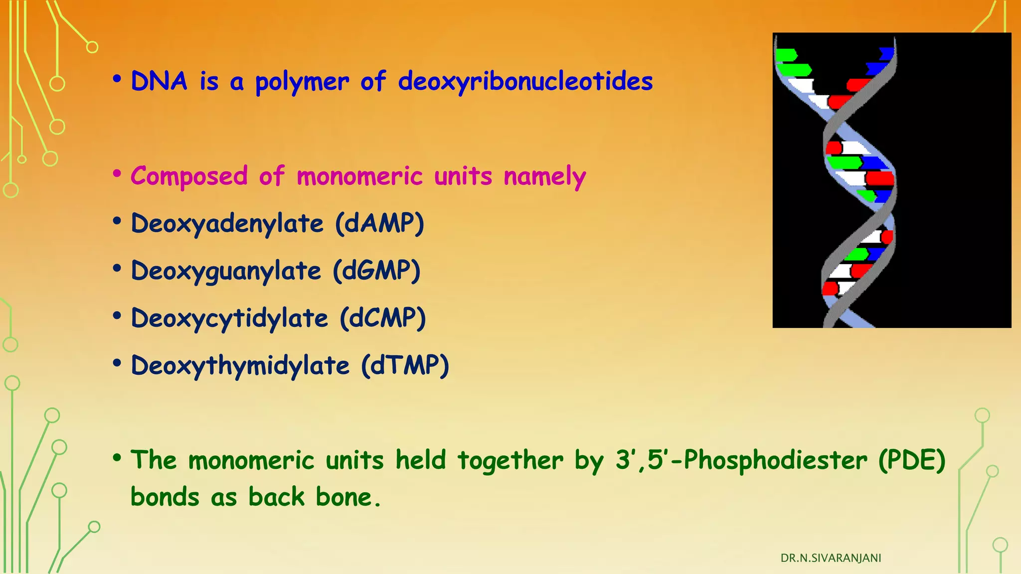Nucleic acid structure | PPSX