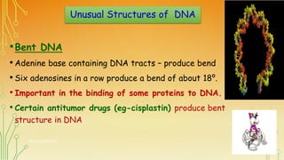 Nucleic acid structure | PPSX