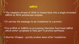 Nucleic acid structure | PPSX