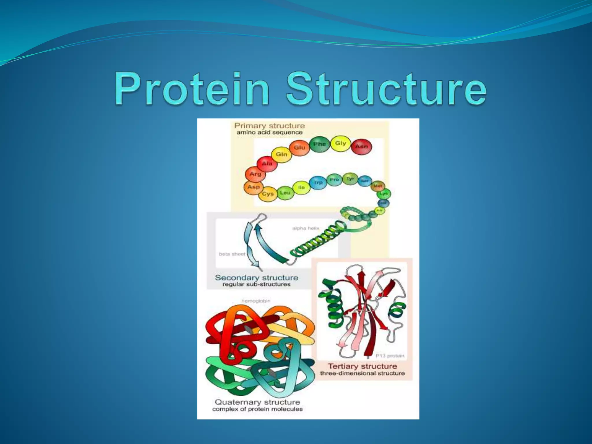 Nucleic Acid / Protein structure & Functions | PPTX