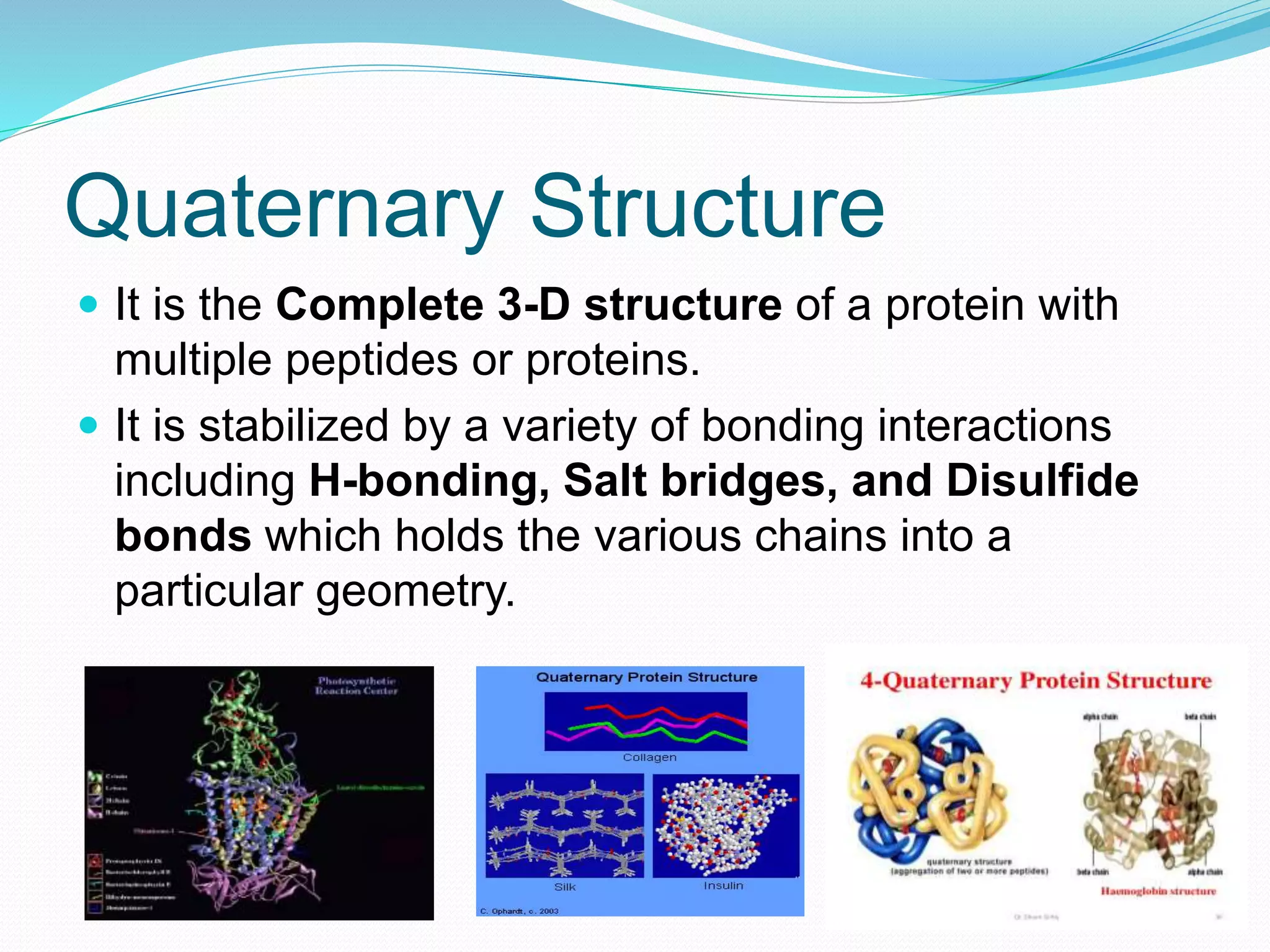 Nucleic Acid / Protein structure & Functions | PPTX