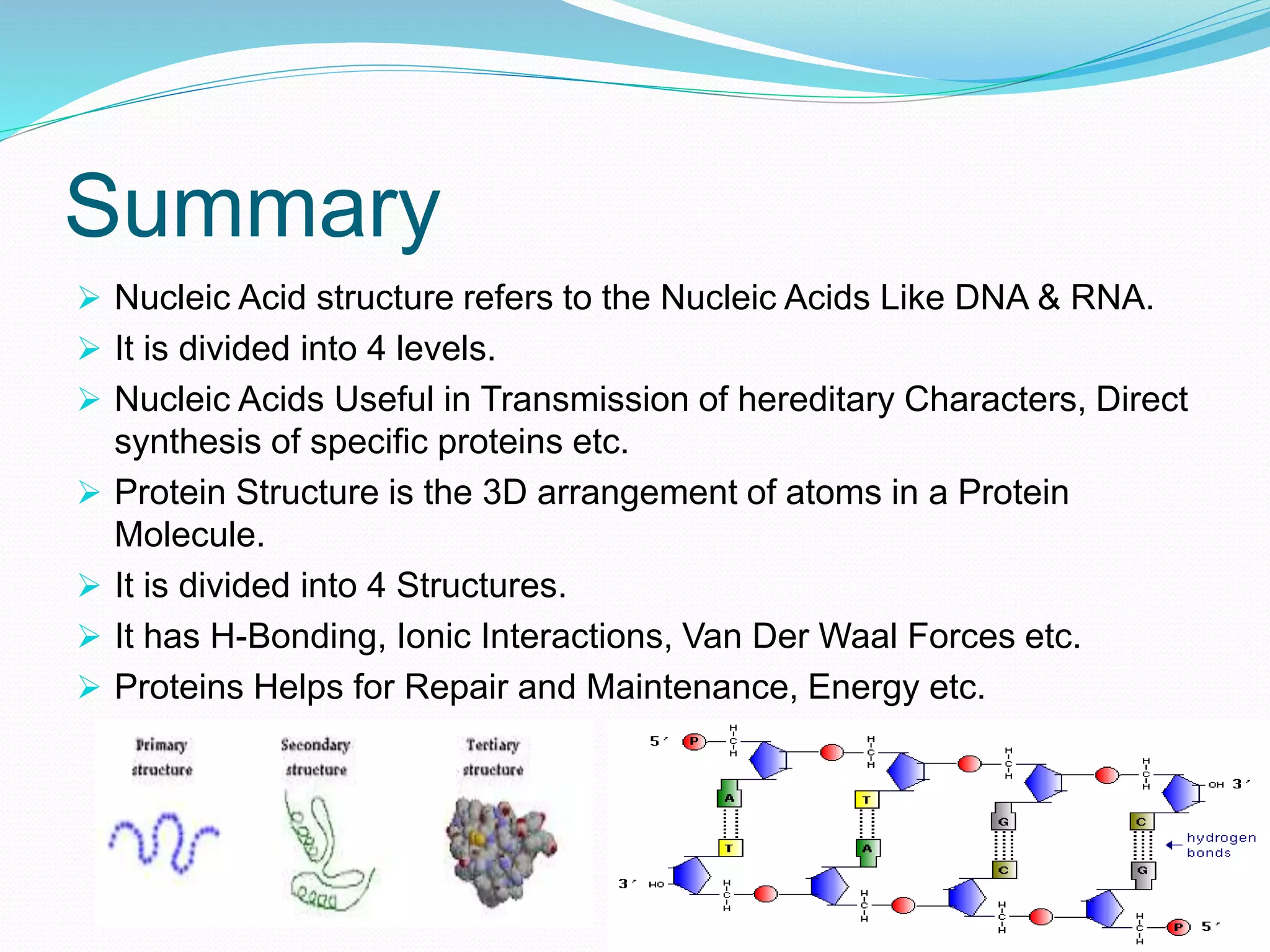 Nucleic Acid / Protein structure & Functions | PPTX