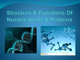 Nucleic Acid / Protein structure & Functions | PPTX