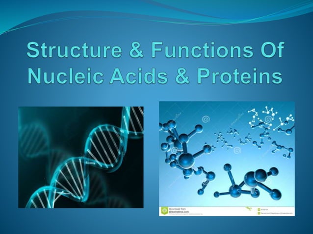 Nucleic Acid / Protein structure & Functions | PPTX