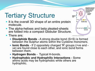 Tertiary Structure Of Dna