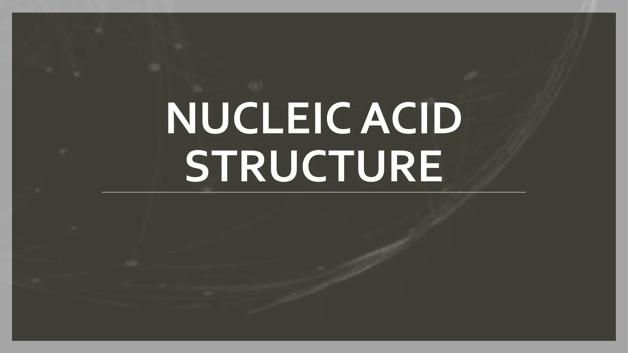 nucleic acid structure.pdf