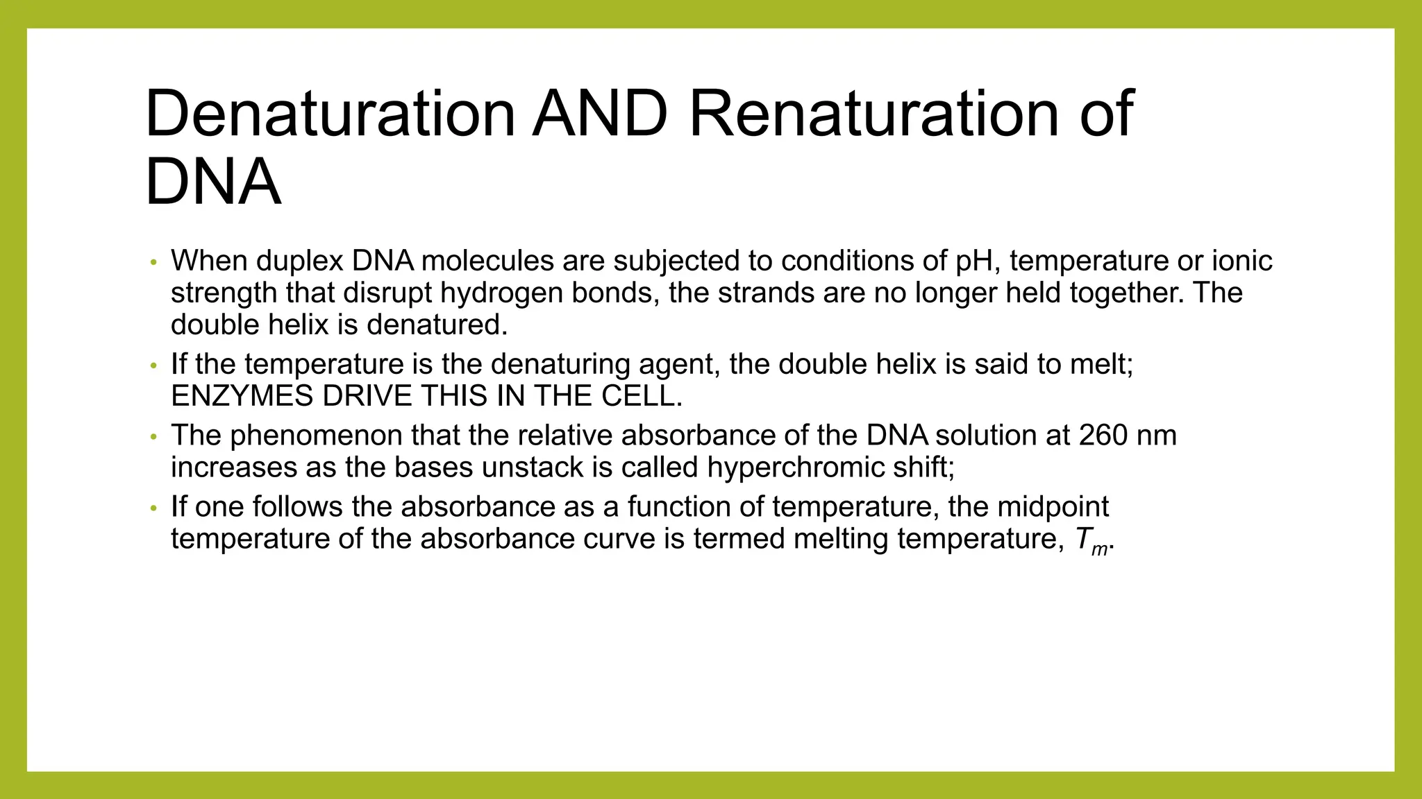 nucleic acid structure.pdf