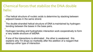 nucleic acid structure.pdf