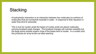 nucleic acid structure.pdf