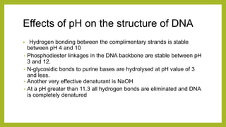nucleic acid structure.pdf