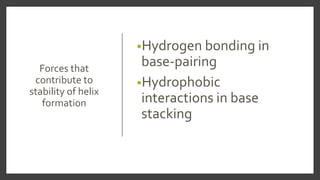 nucleic acid structure.pdf