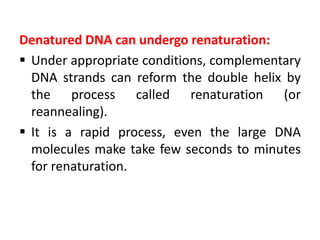 Nucleic acid structure and function | PPTX