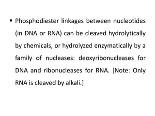 Nucleic acid structure and function | PPTX