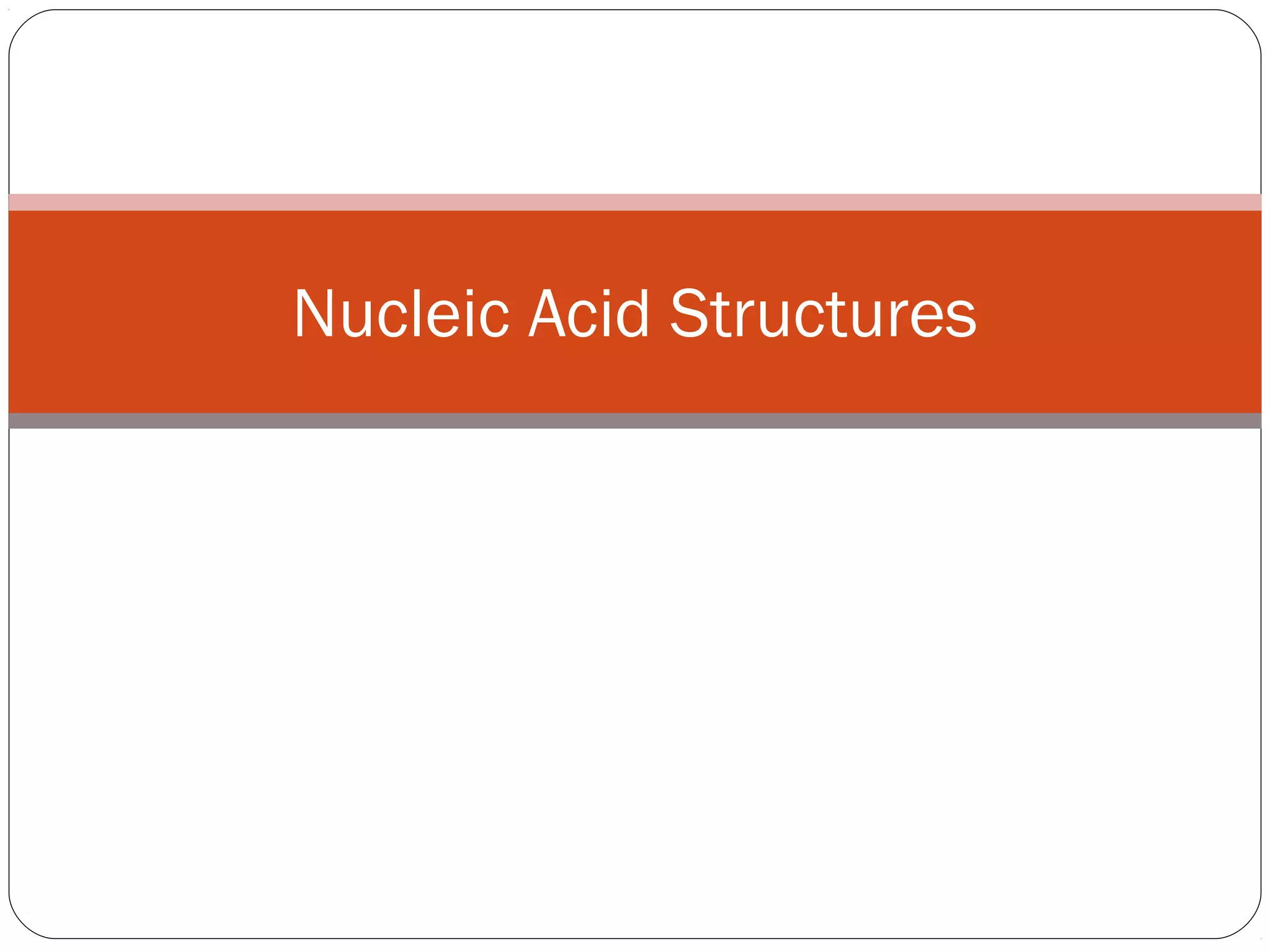 Nucleic acid structures | PPT