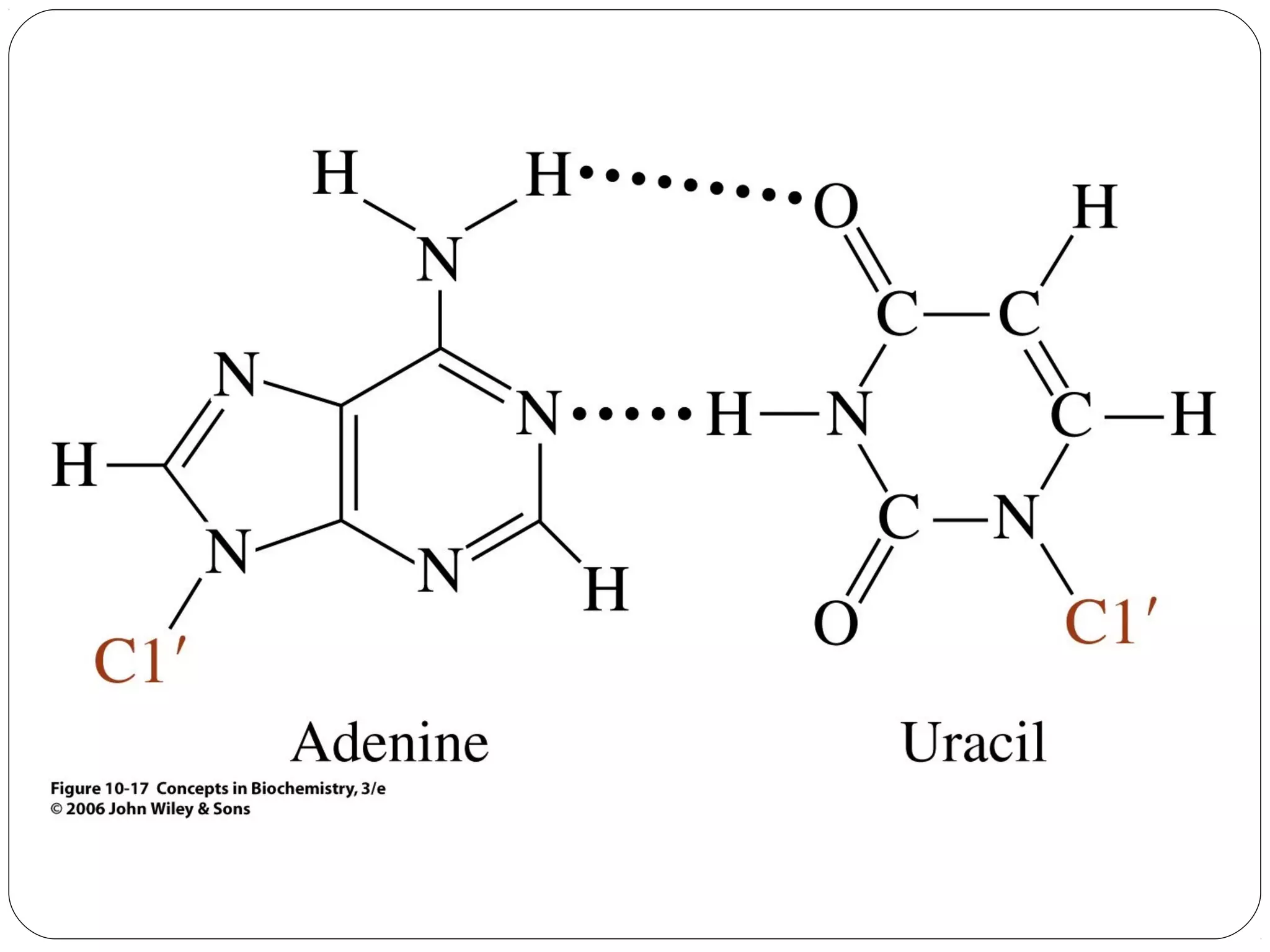 Nucleic acid structures | PPT