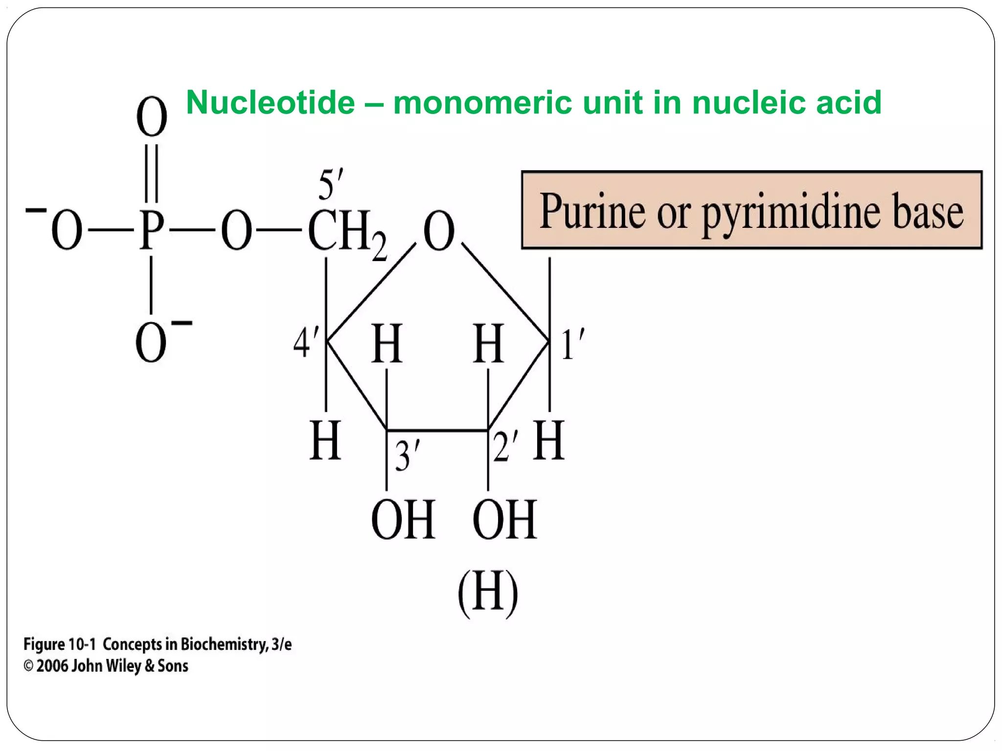 Nucleic acid structures | PPT