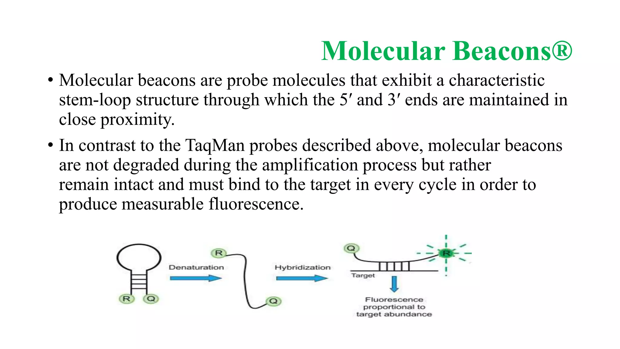 Nucleic acid techniques in diagnostic microbiology | PPTX